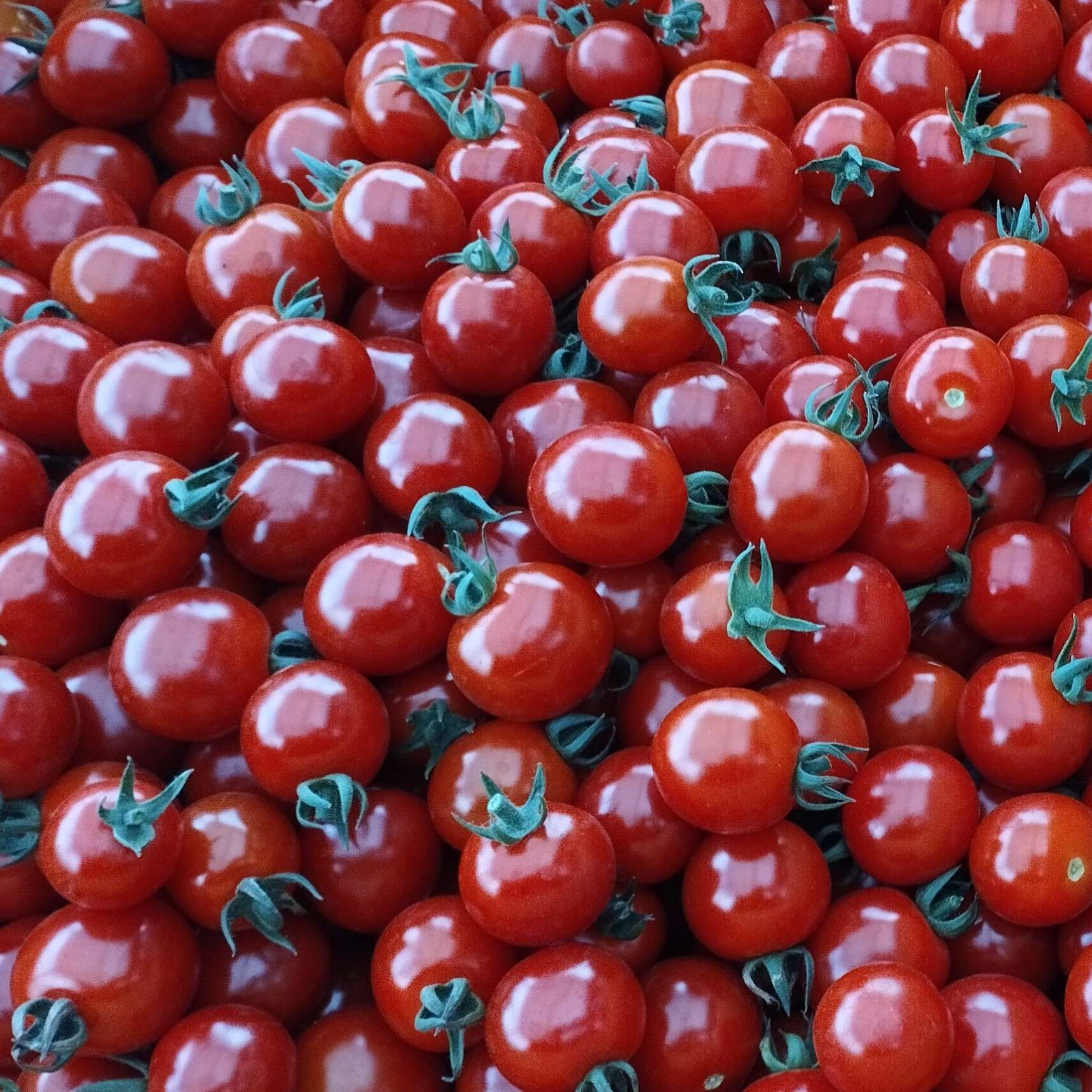 はまちゃん農園