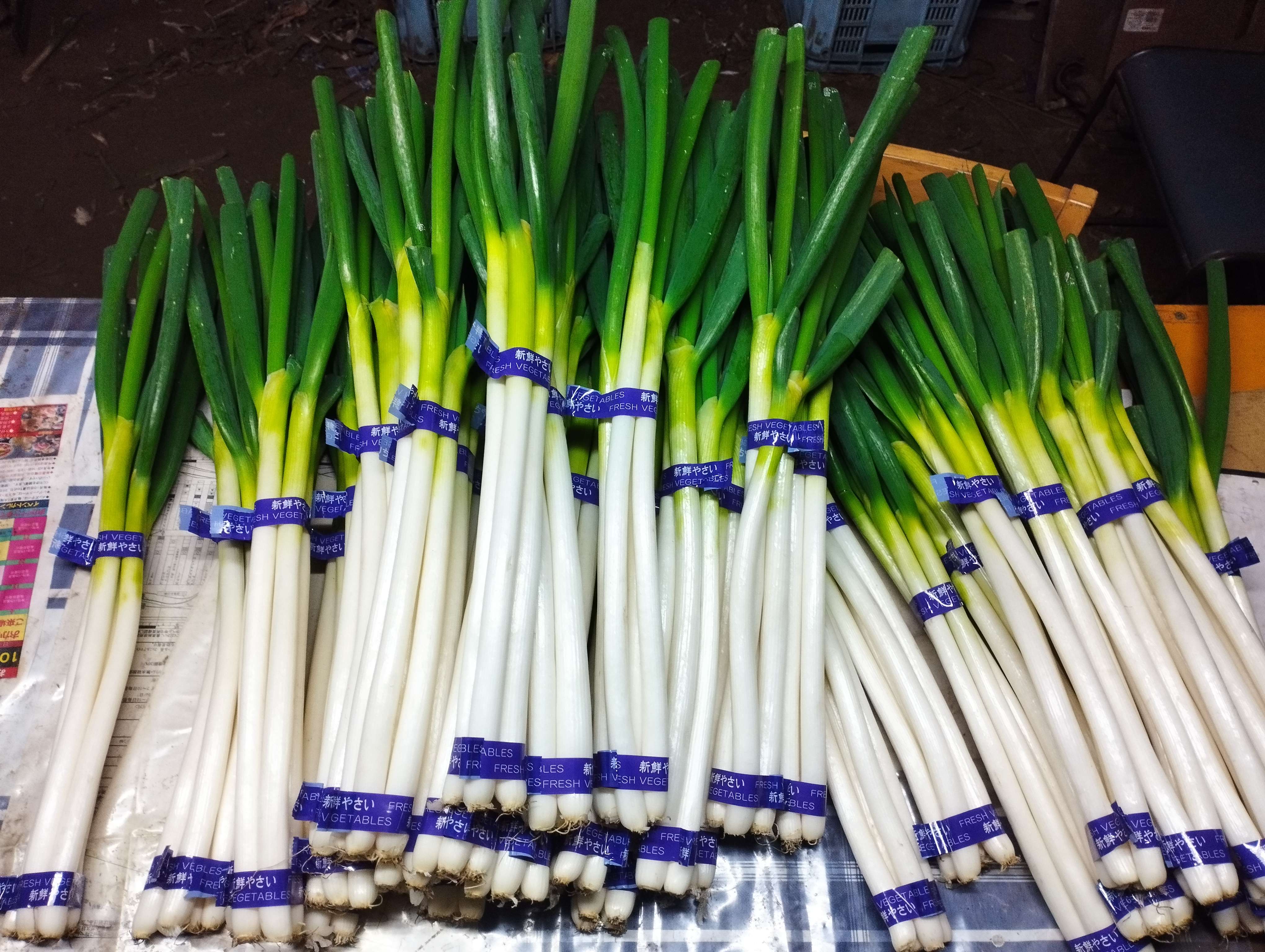 はまちゃん農園